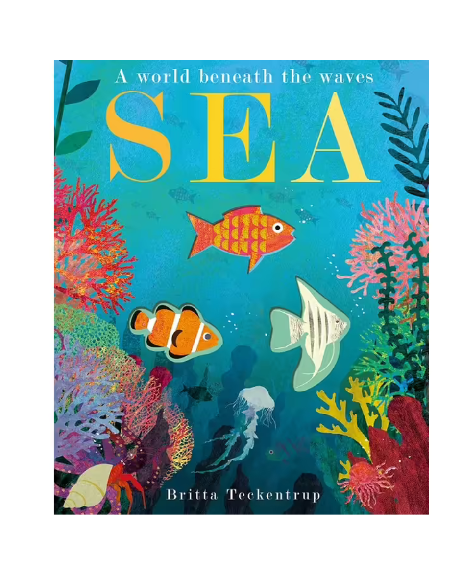 Sea Book – plainjanes